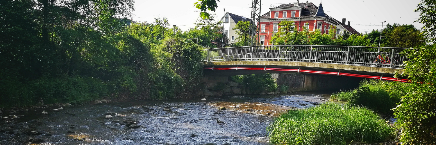 Texas A&M International University