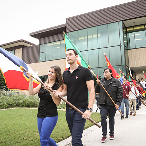 Download Image Gallery