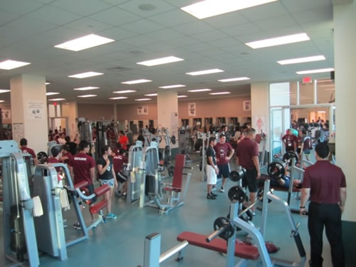 Texas A&M International University